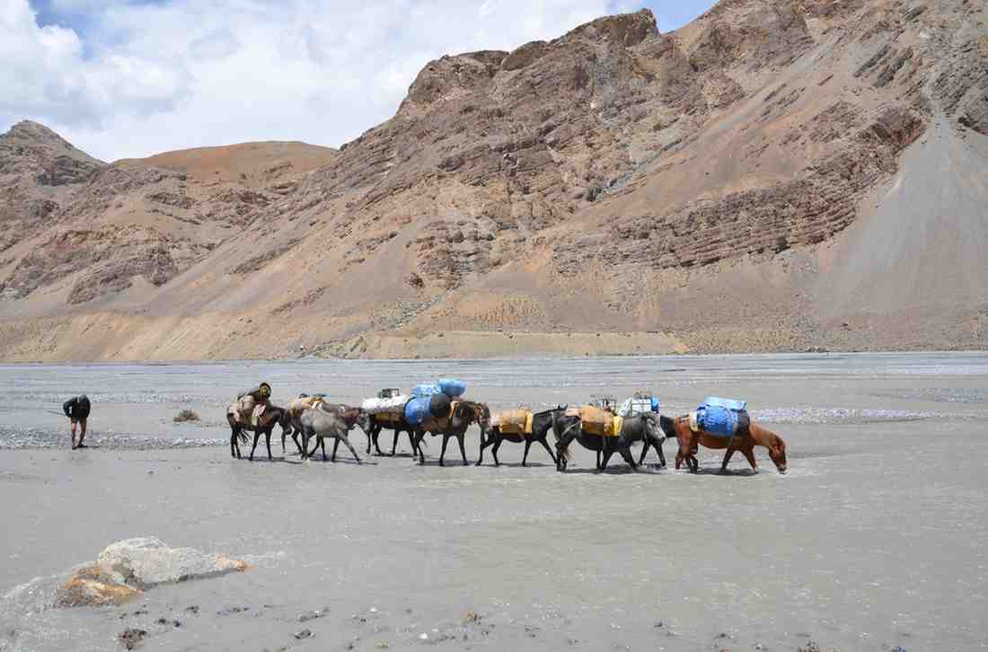 Rumtse to Tsomoriri Trek | Trekking to Tsomoriri from Rumtse