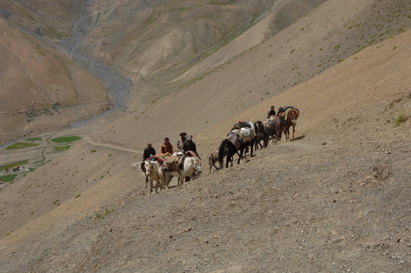 Kanji to Padum Trek | Lamayuru-Padum Trek | Zanskar Trekking