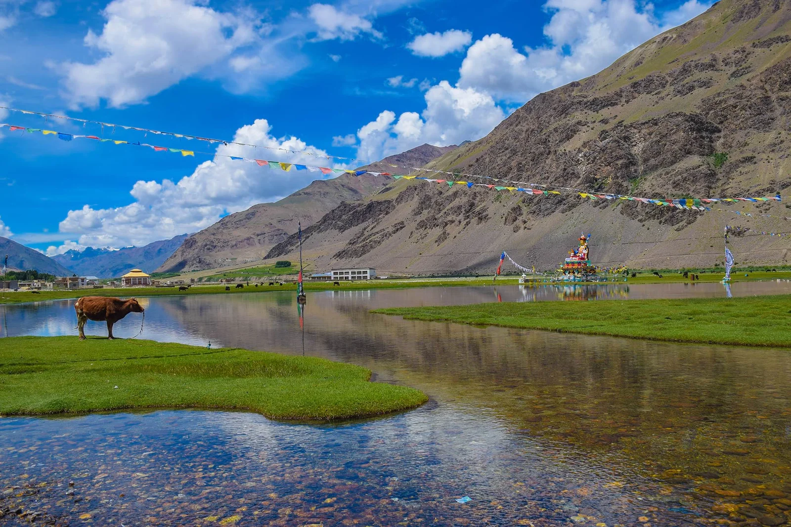 Ladakh Tour 5 Nights 6 Days (Indus + Nubra + Pangong) - Trekking in ...