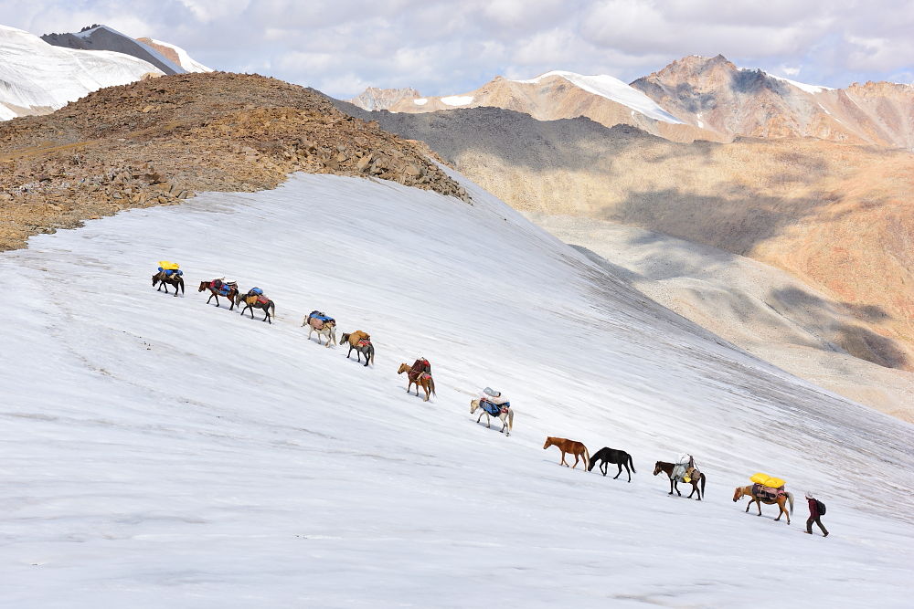 Saboo to Khalsar Trek | Nubra Trek | Diggerla Trek | LadakhTrek